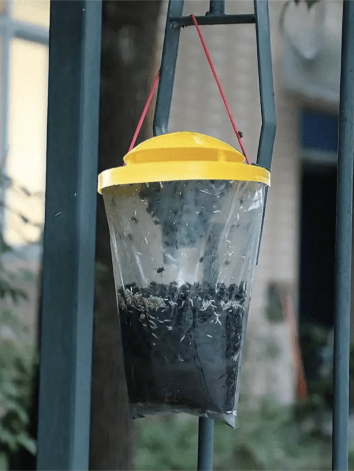 Transparent Fly Trap Bags One Piece | SHEIN USA