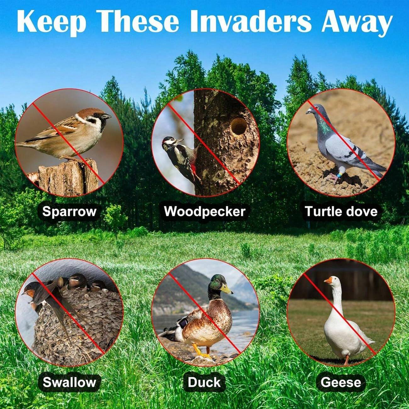 Effective Birds Scare Ribbon, Reflective Flash Reflectors To Keep ...