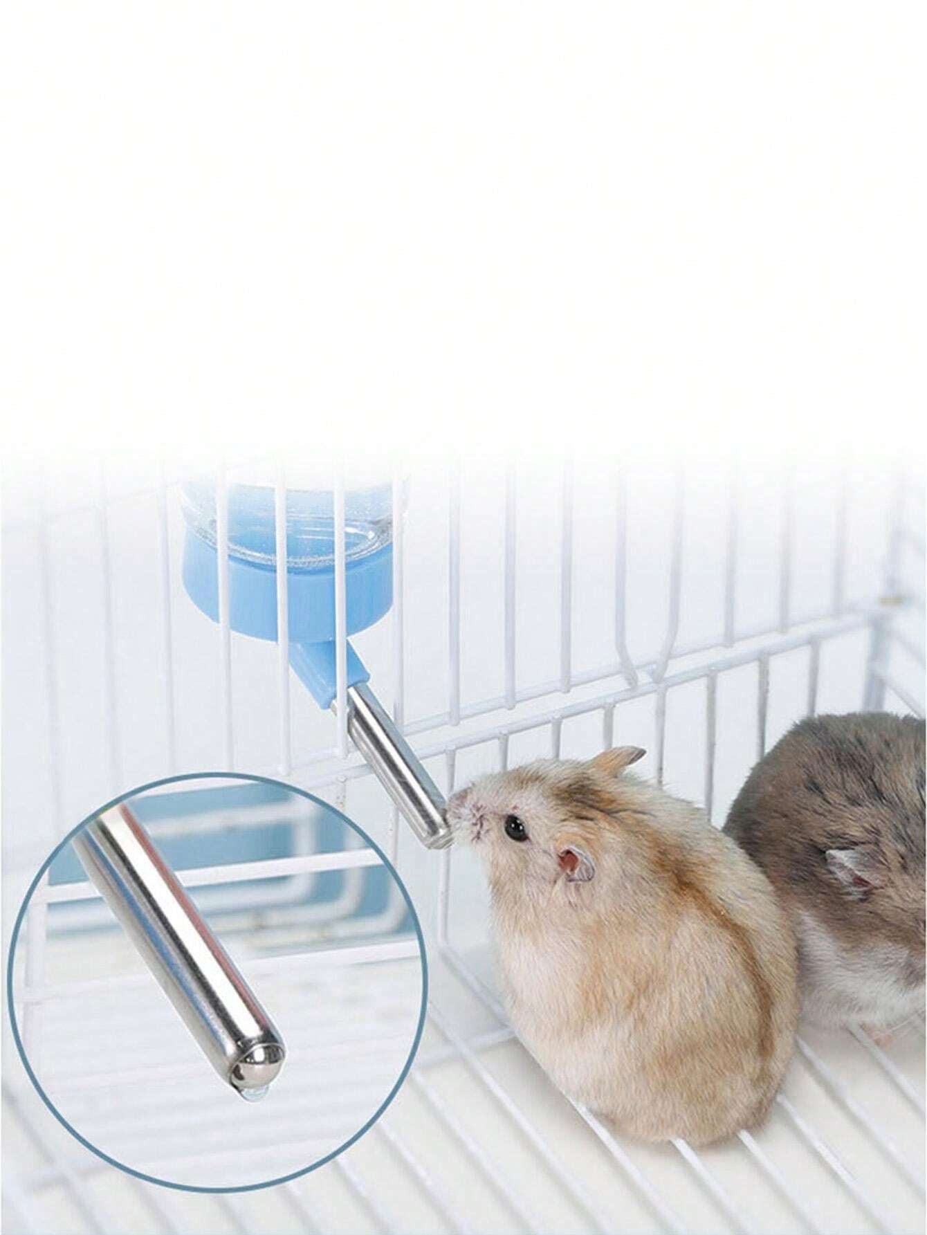 Hanging Small Pet Water Bottle, Hamster/Guinea Pig Water Dispenser ...