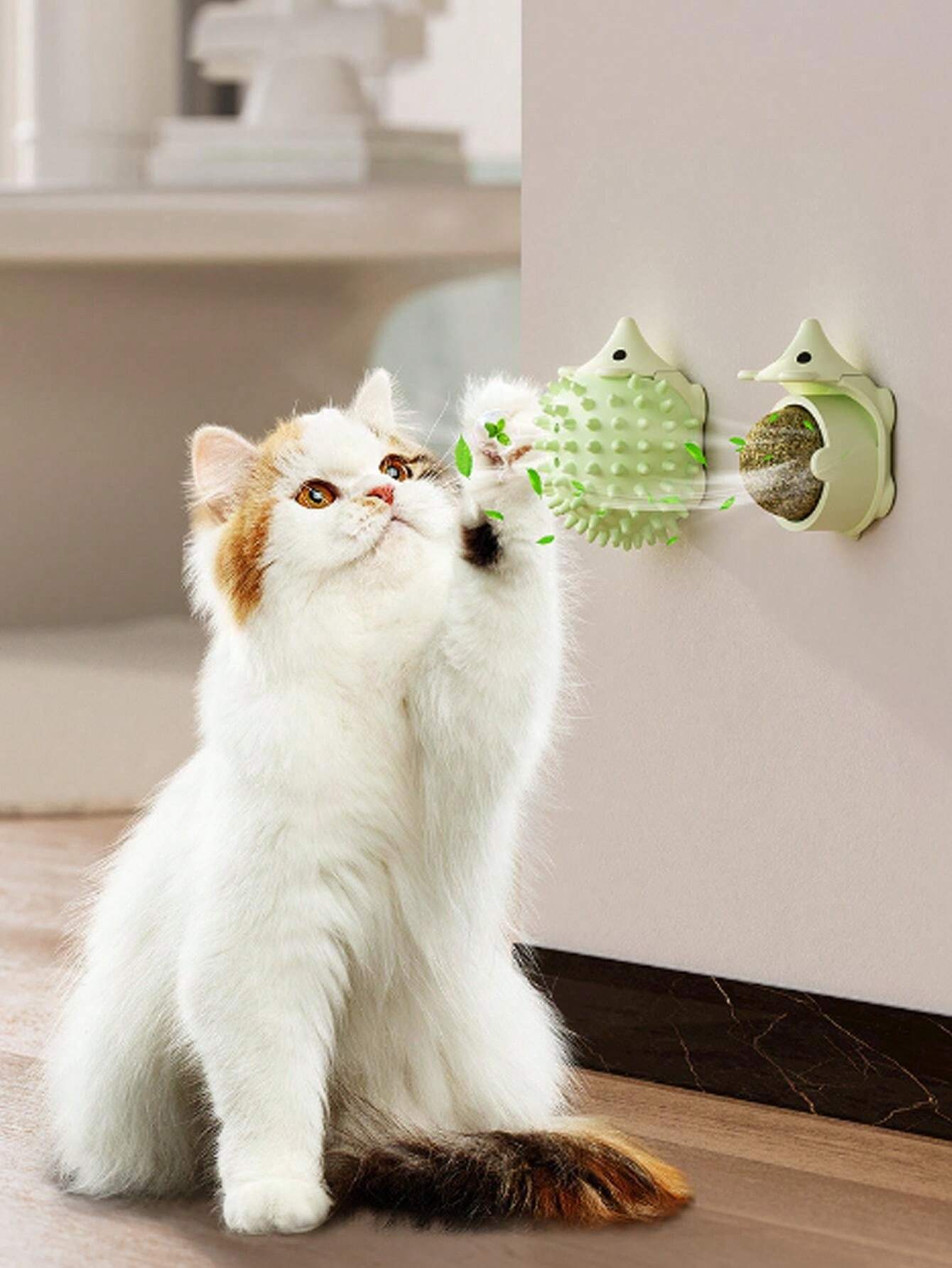 A Hedgehog Shaped Cat Scratcher Toy, With Internal Cat Ball To Attract ...