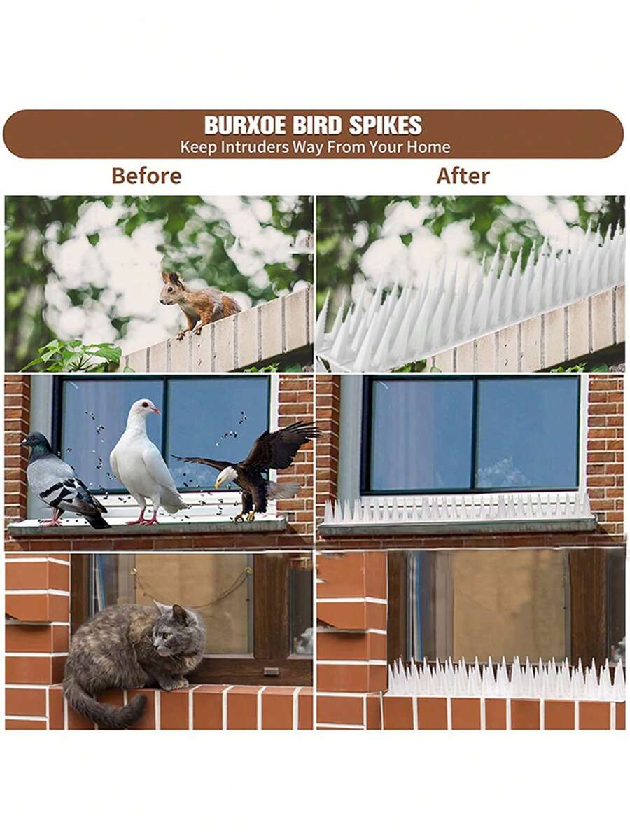 8pcs Bird Spikes Deterrent, Outdoor Anti-Climbing Spikes, Anti-Bird ...