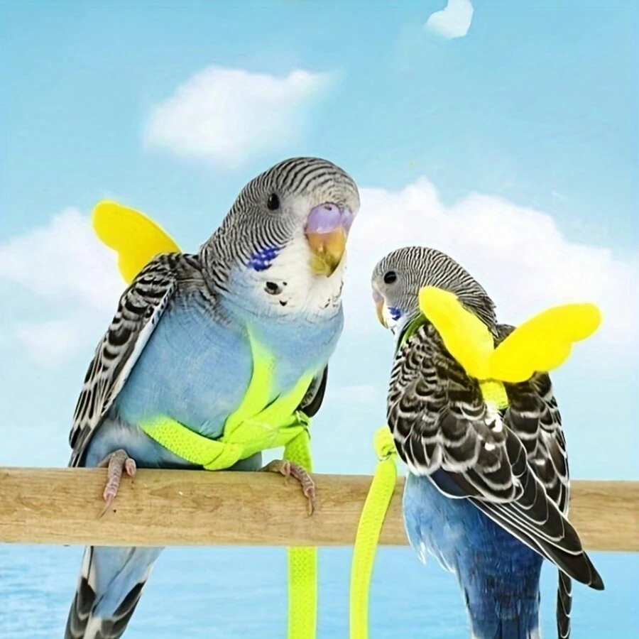 Parrot Bird Harness Training Leash Design Anti-Bite Bird Nylon Rope ...
