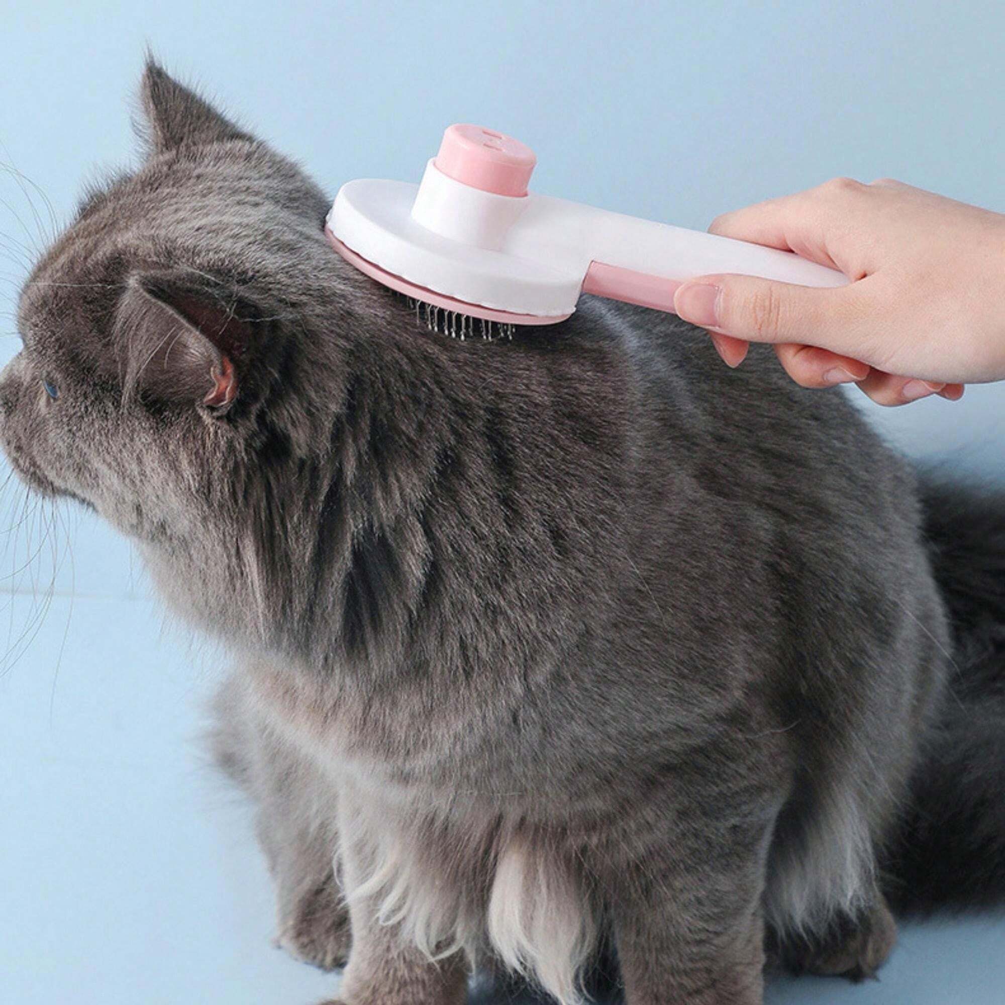 1 pièce Peigne pour animaux de compagnie en acier inoxydable pour ...