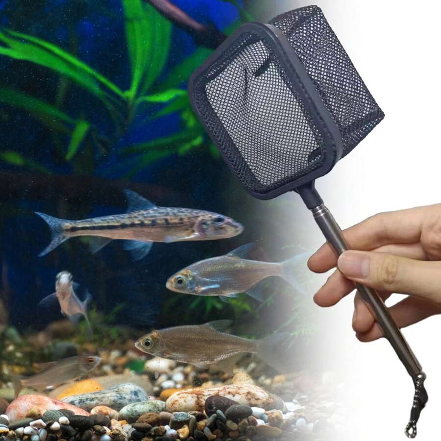 Fish Tank Shrimp Net Reinforced Frame Aqurium Net With Extendable Long ...