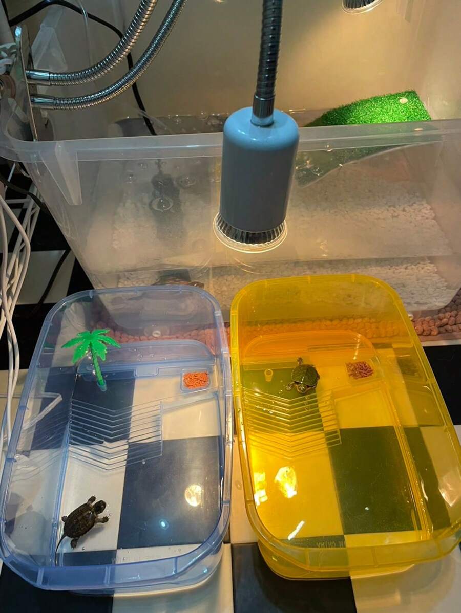 1pc Plastic Turtle Tank For Brazilian Turtle, Red-Eared Slider ...