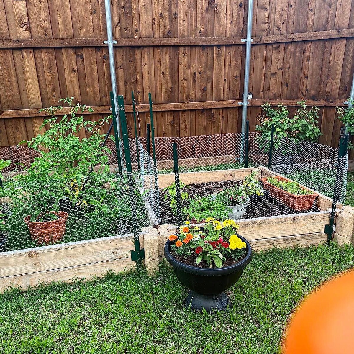 Chicken Wire, Poultry Wire Netting Hexagonal Galvanized Mesh Garden ...