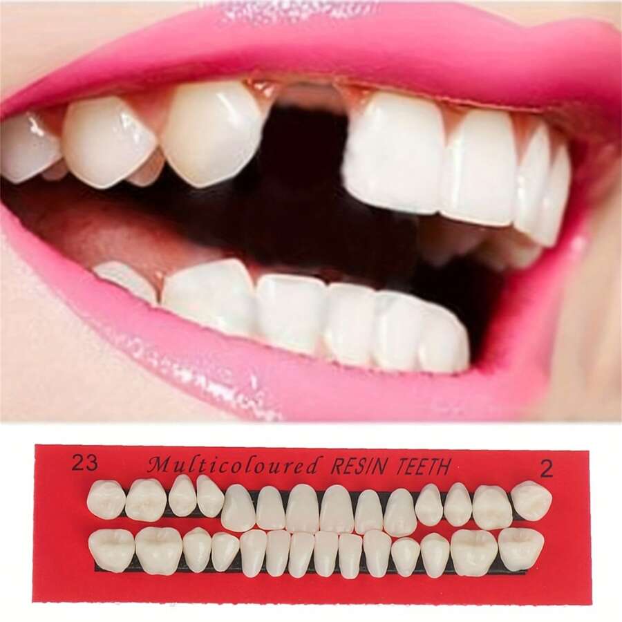 2 Resin Teeth Dental Material, Oral Material Teaching Mold, Denture ...