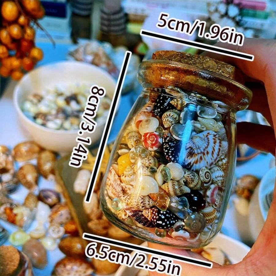 400pcs Natural Seashell Specimens Including 6 Types Of Super Small Sea ...