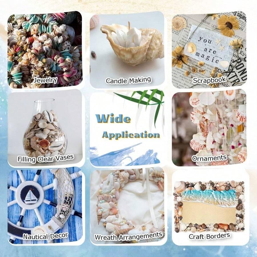 400pcs Natural Seashells Assorted Tiny Seashell & Conch Shells ...