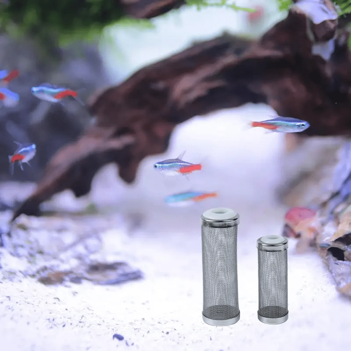 Premium Stainless Steel Fish Tank Filter - Shrimp Safe Mesh Nets ...