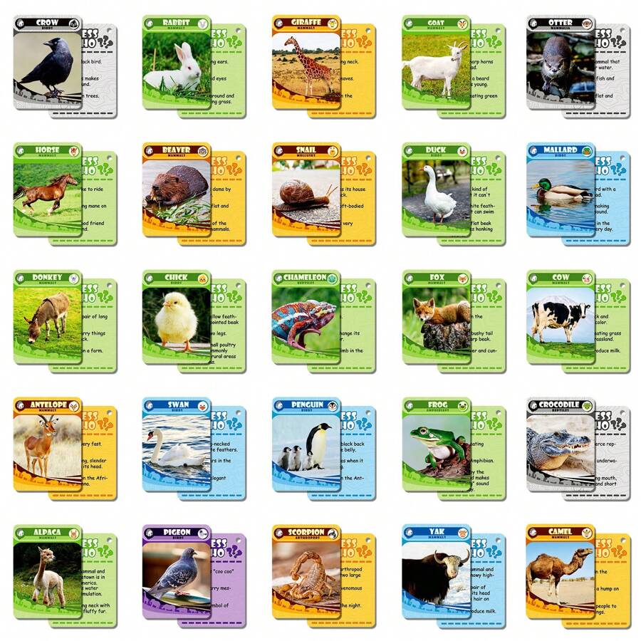 50 cartes d'animaux réalistes pour enfants, fiches éclair en anglais ...