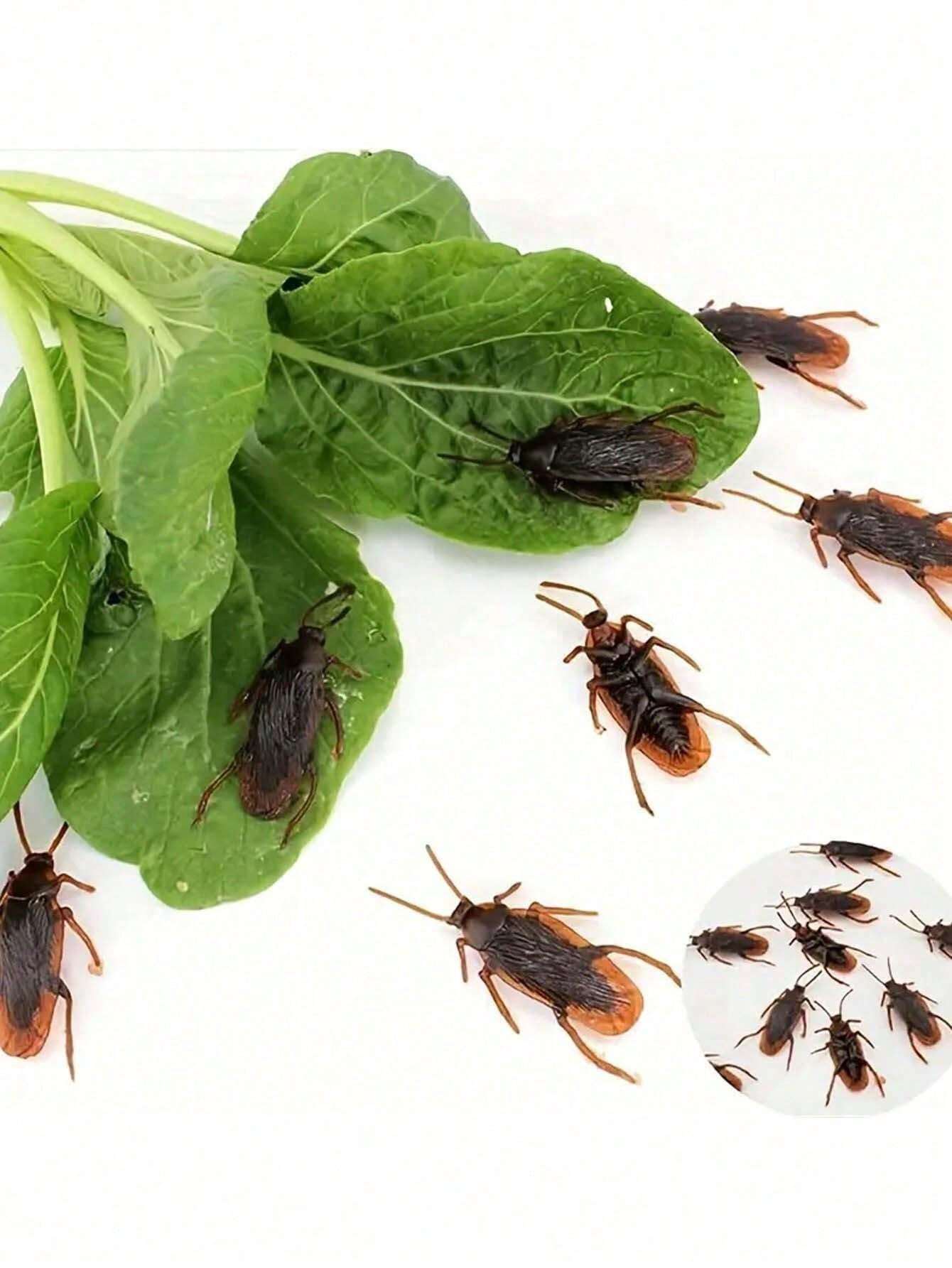 5pcs Halloween Scary Realistic Fake Cockroach Decorations Props, Creepy ...