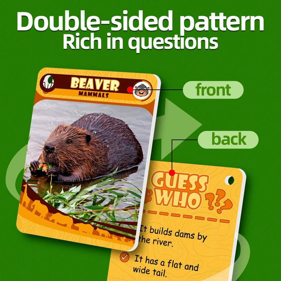 50 tarjetas realistas de animales para niños, tarjetas didácticas en ...