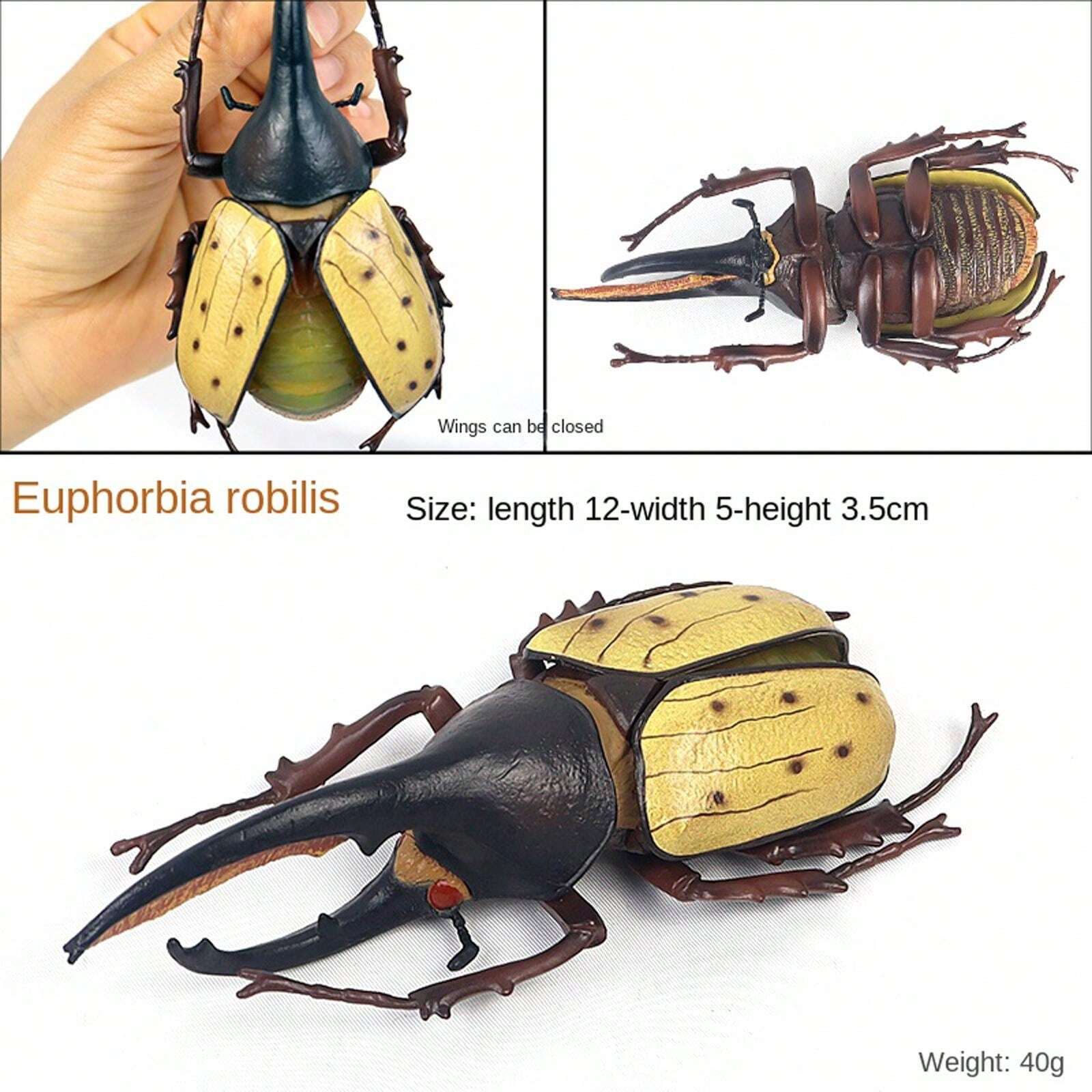 Lifelike Extra Large Realistic Insect Longhorn Beetle Model, Openable ...