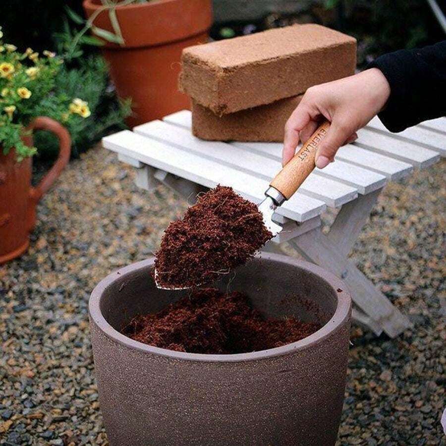 1pc Sterile Coco Peat Nutritious Soil - Universal Coconut Fiber ...