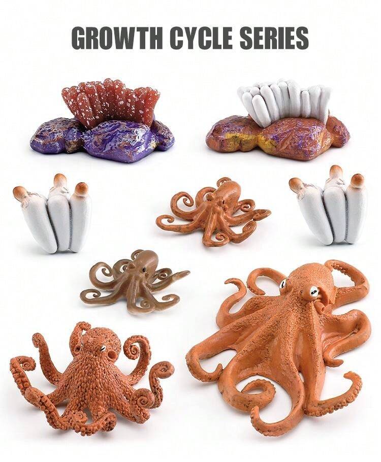 Modelo de exhibición del ciclo de vida del pulpo simulado | Moda de ...