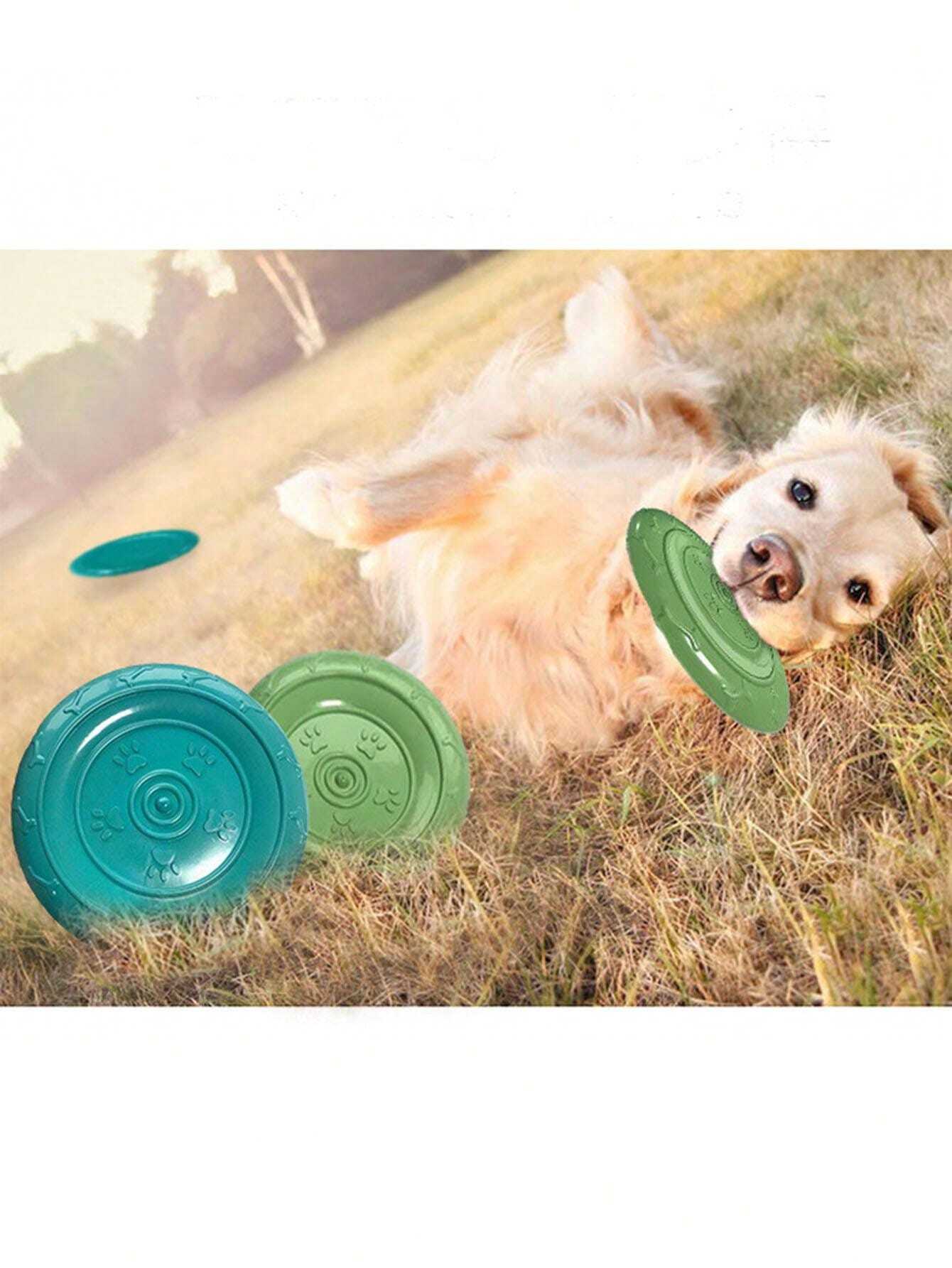 1pc Silicone Interactive Dog Training Disc Toy - , Soft-Grip, Easy-To ...