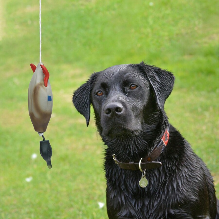 Pet Dog Training Fake Duck The Bird Dummy Teaches Mallard Waterfowl ...