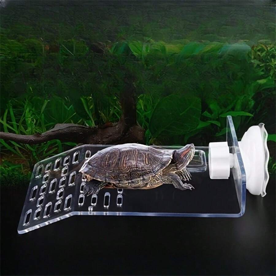 Plastic Turtle Basking Platform - Clear Floating Reptile Habitat ...