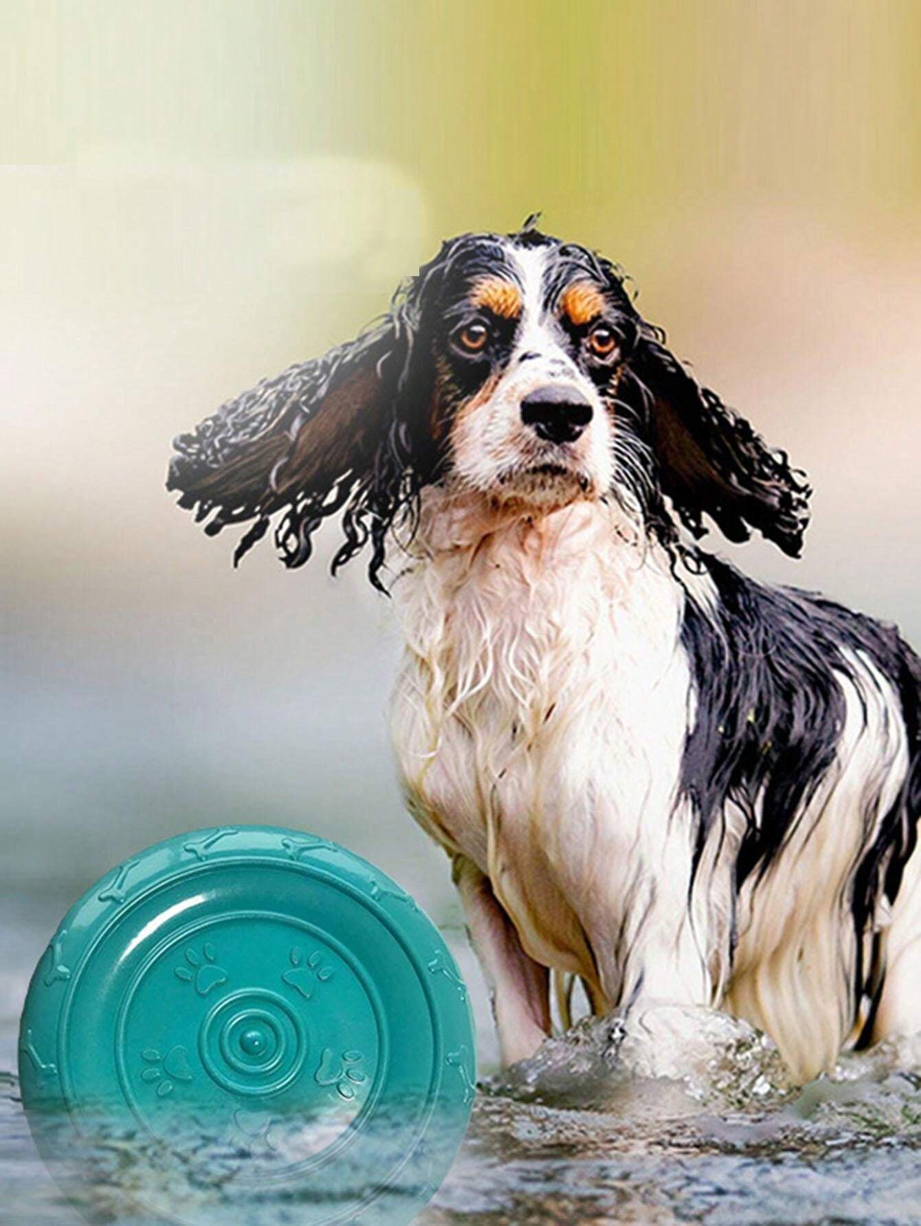 1pc Silicone Interactive Dog Training Disc Toy - , Soft-Grip, Easy-To ...