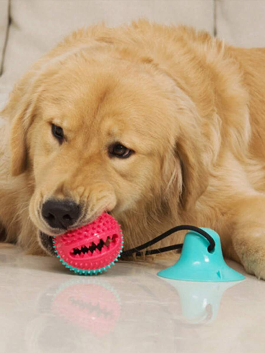 One, Suction Cup Drawstring Leak Food Pet Toy Ball TPR Teeth Cleaning ...