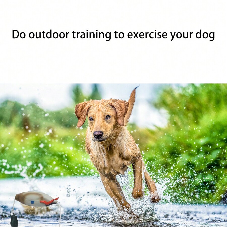 Pet Dog Training Fake Duck The Bird Dummy Teaches Mallard Waterfowl ...