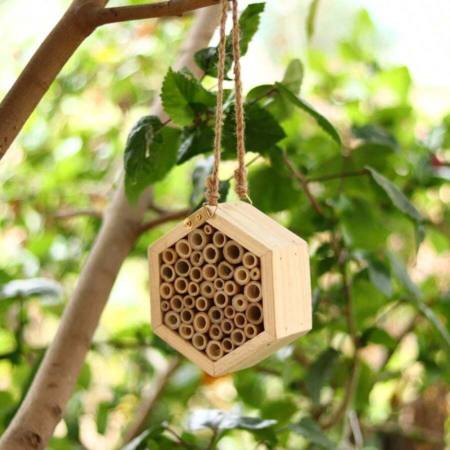Bee House Native Bee Hive Hexagon Bee House Insect Hotel Natural ...