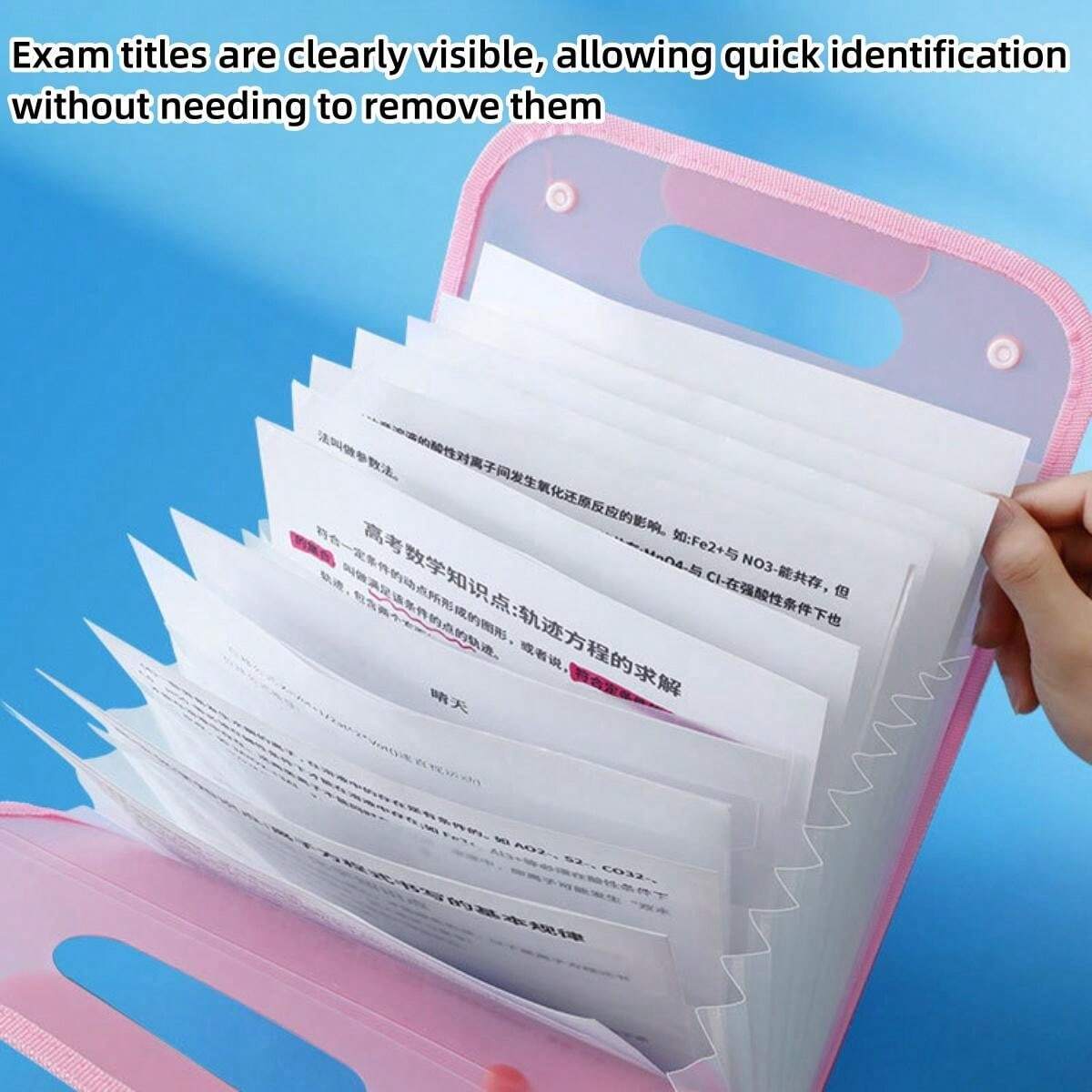 PP Material A4 Vertical Accordion File Folder: Student Multi-Layer ...