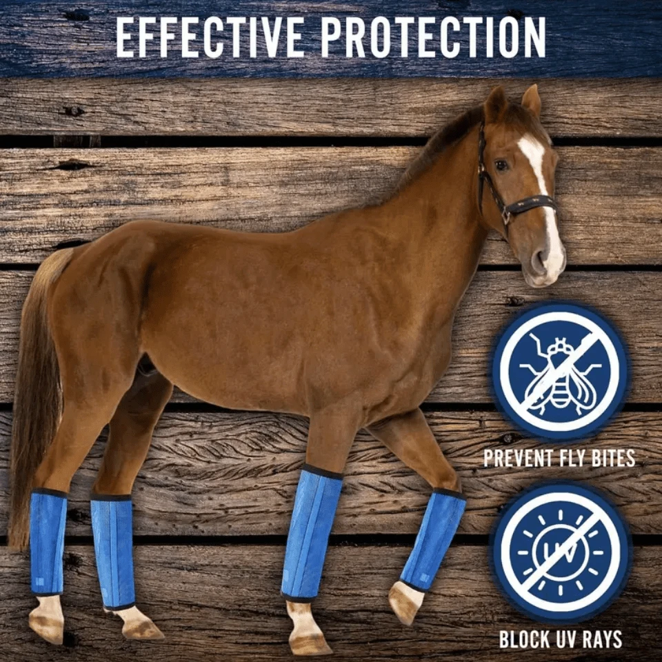 Professional Horse Leg Guards, Horse Riding Gear, Breathable Anti ...