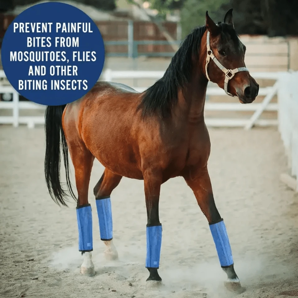 Protetores de Perna para Cavalo Profissional, Equipamento de Montaria ...