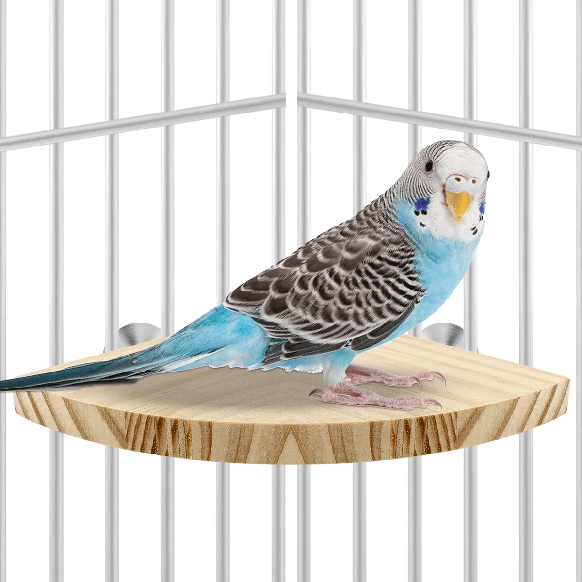 Wooden Bird Perch, 10/13cm Diameter Wooden Platform Corner Ledge For ...