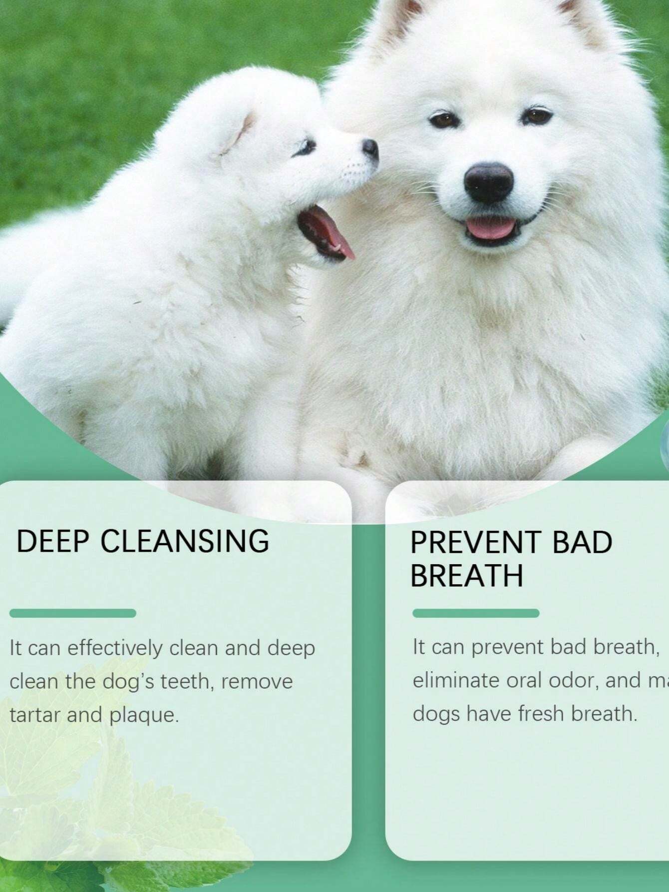 Dental Cleaning Powder For Dogs Mild Formula To Freshen Breath And ...
