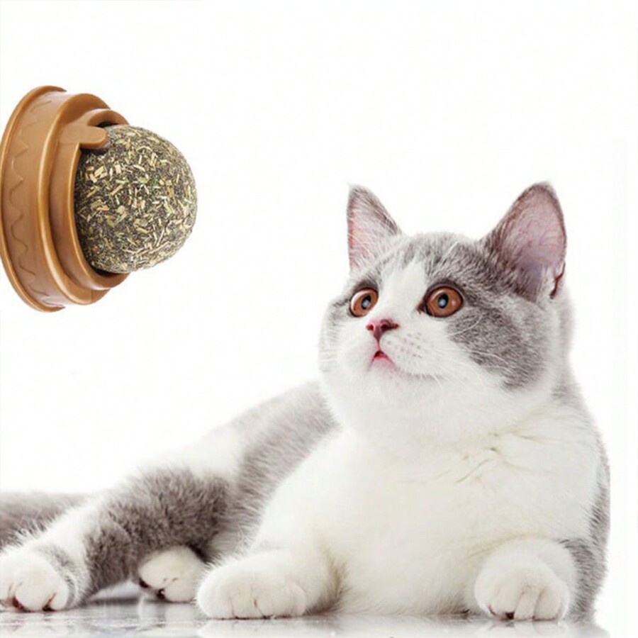Rotating Natural Catnip Ball Molars Cleans Teeth Bites Catnip Balls ...