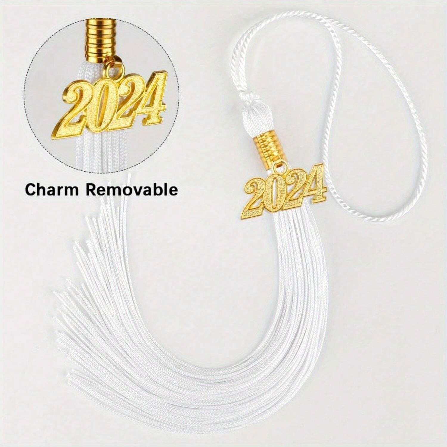 10pcs 2024 Graduation Tassel Charm 2024 Tassel Graduation, 2024 Tassel Charm 2024 Year Charms ...