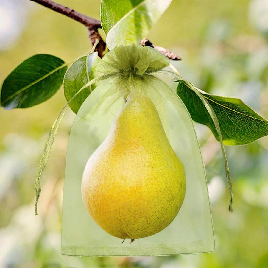 Fruit Protection Bag, Fruit Netting Bags For Fruit Trees Fruit Cover ...