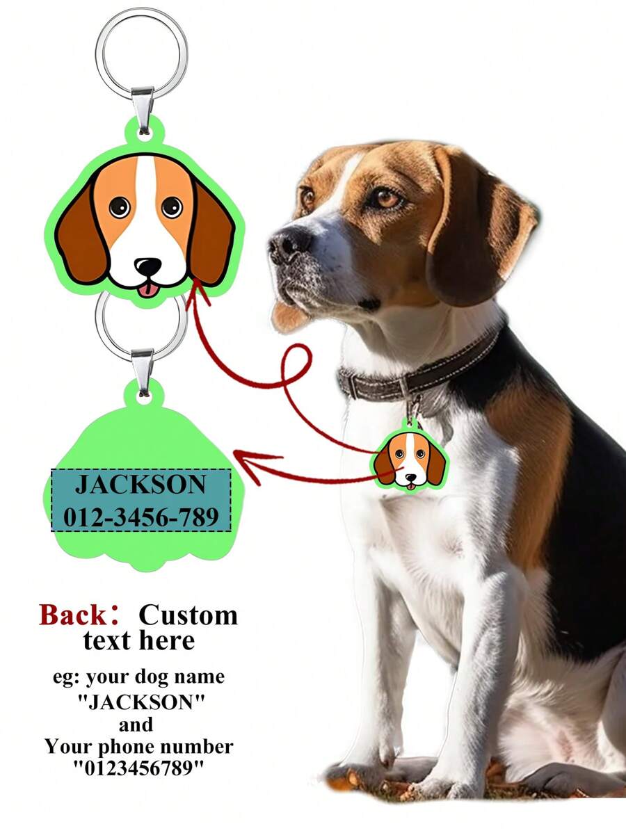 Étiquettes d'identification de chien personnalisées en couleur ...