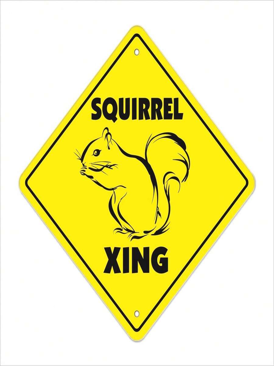 Unbeatablesale SignMission X-Squirrel 12 X 12 In. Squirrel Crossing ...