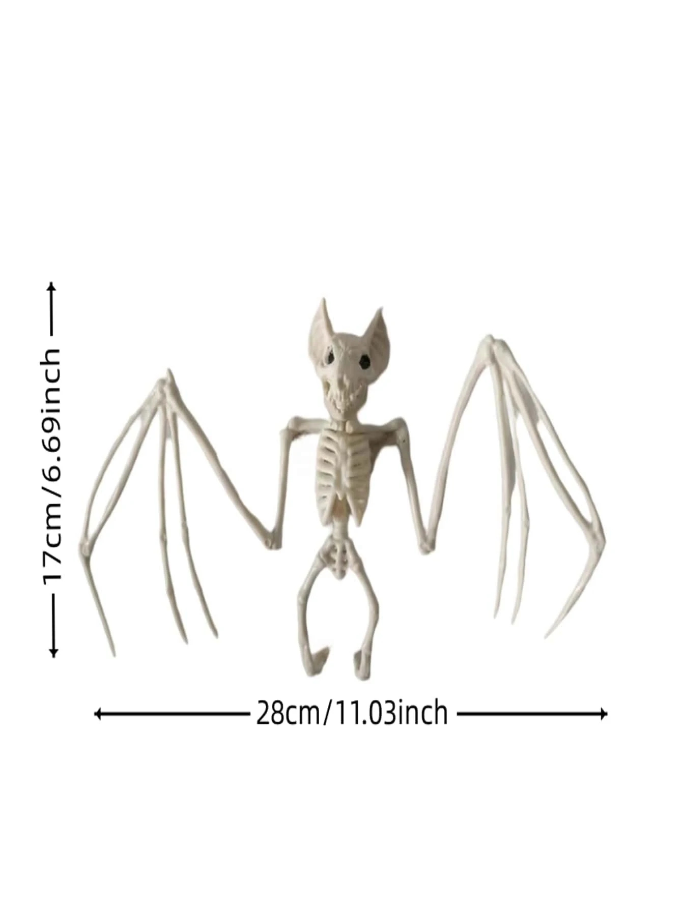 Halloween Animal Skeleton Decoration - Bat, Spider, Mouse Skeletons ...