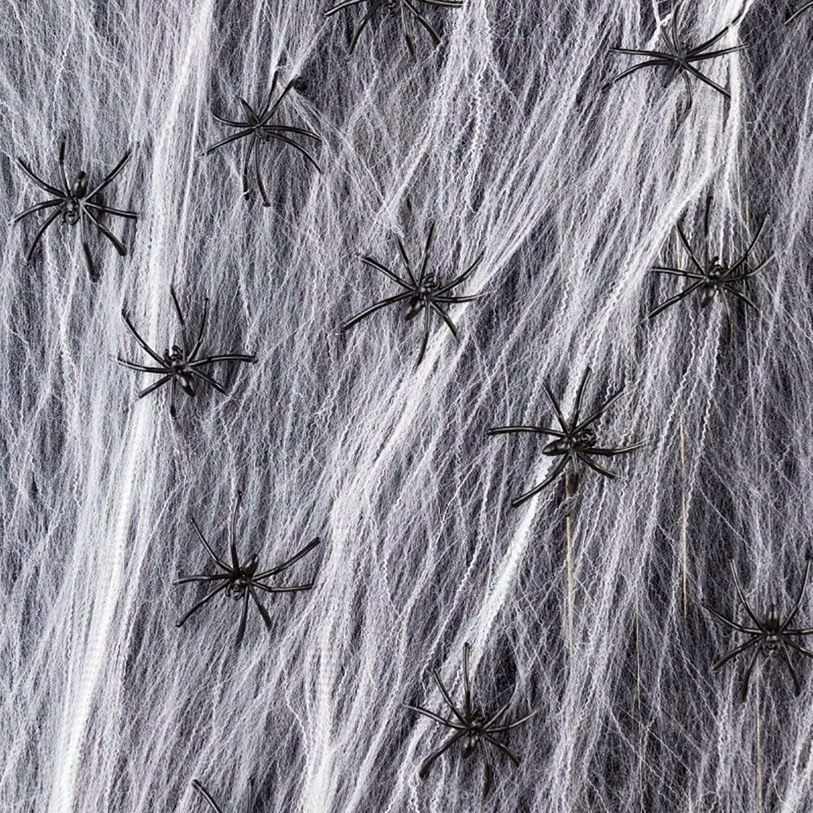 Small Plastic Spiders Realistic Spiders Fake Plastic Spiders For ...