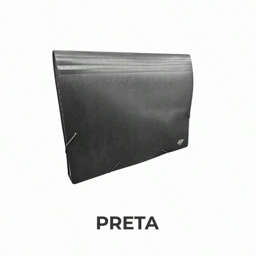 Accordion Folder 12 Dividers A4 Legal 330x235mm ACP | SHEIN USA