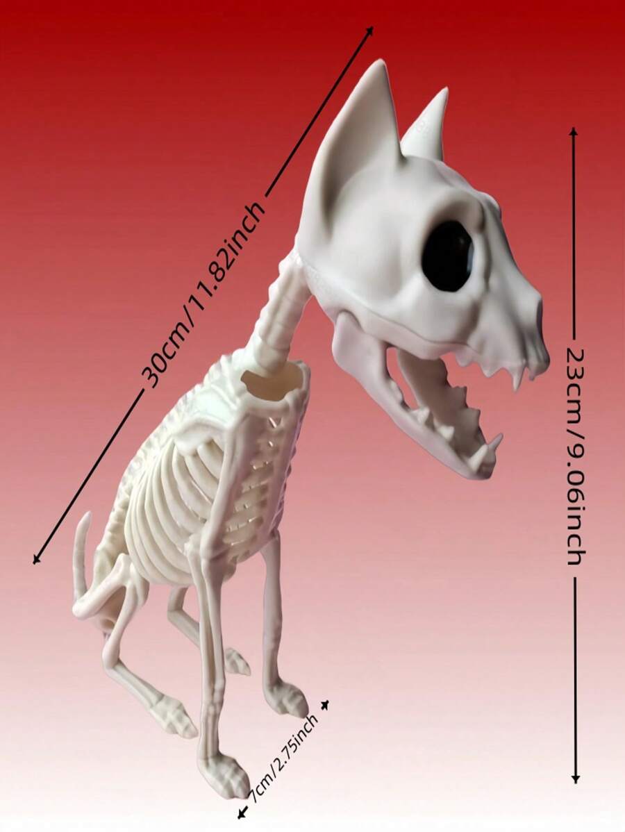 Plastic Skeleton Cat Decorations, Posable Halloween Skeleton Cat Prop ...