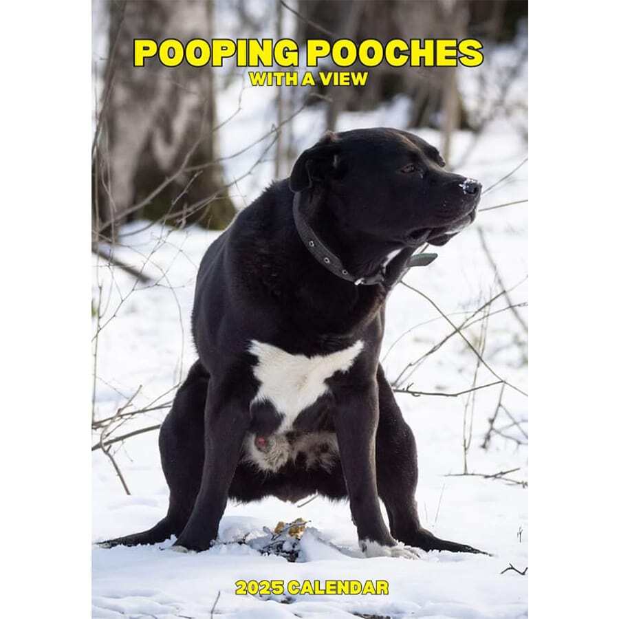 2025 Pooping Dogs A4 Size Wall Calendar - Planner,Dogs Pooping In ...