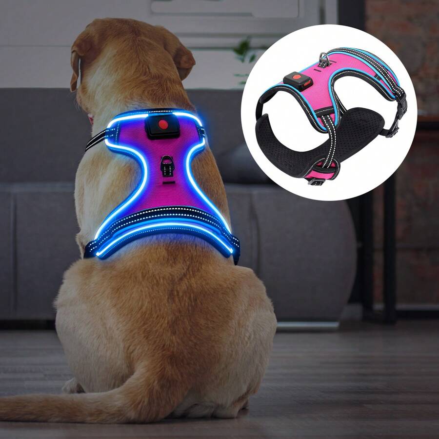 Light Up Dog Harness - Rechargeable LED Dog Vest, No-Pull Dog Harness ...