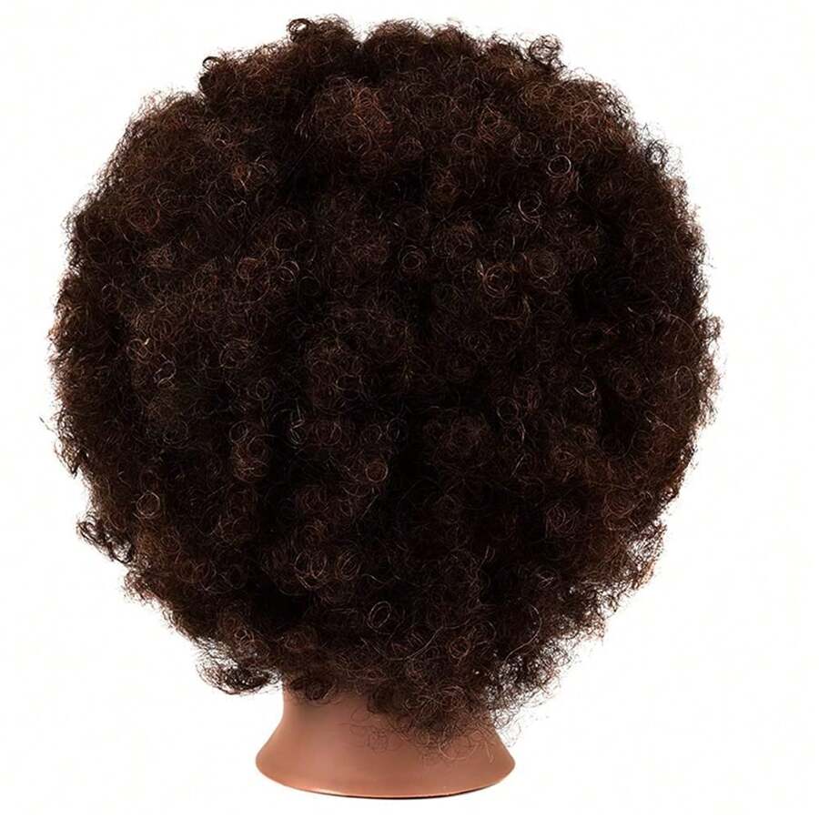 African Real Hair Wig Head Model, Curly Hairstyle Training Head With ...