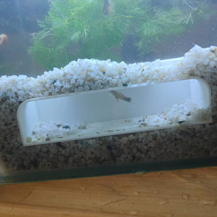 Aquarium Underwater Tunnel Habitat Decor With Observation Windows For ...