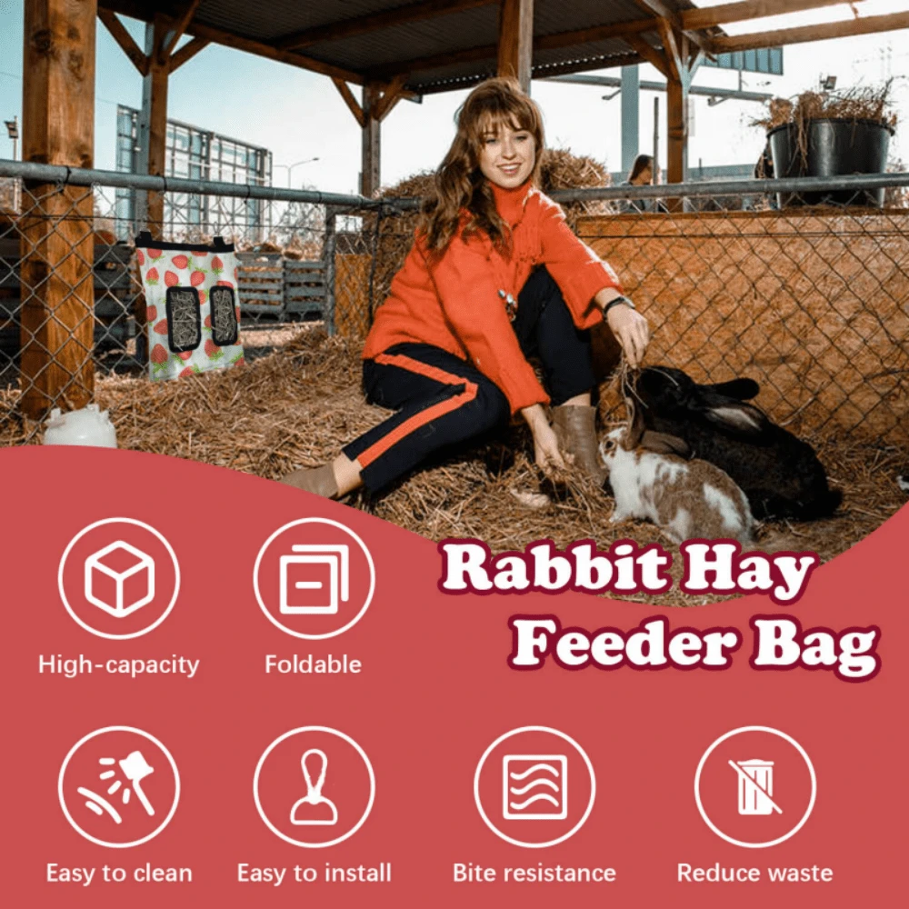 4 PCS Rabbit Hay Bag Feeder, 1-2-3-4 Holes And Strawberry 600D Oxford ...