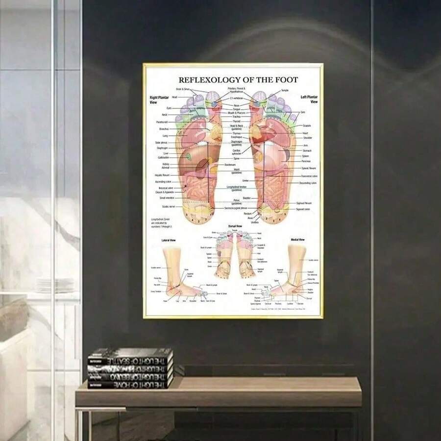 Acupoint Diagram Anatomy Foot Reflex Poster Printing Home Bedroom ...