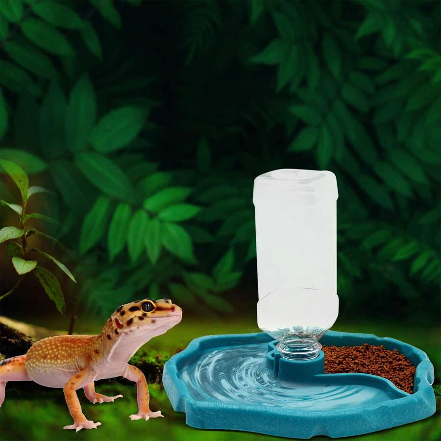 Reptile Water Bottle Automatic Reptile Food And Water Dish Bowl Turtle ...