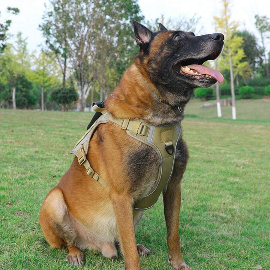 Tactical Chest And Back Outdoor Medium And Large Dog Pet Chest And Back ...