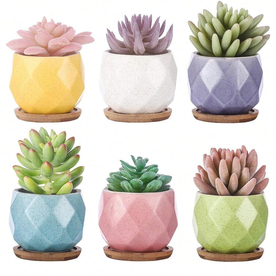 Set Of 6 Small Succulent Pot - Mini Ceramic Succulent Plant Pots With ...